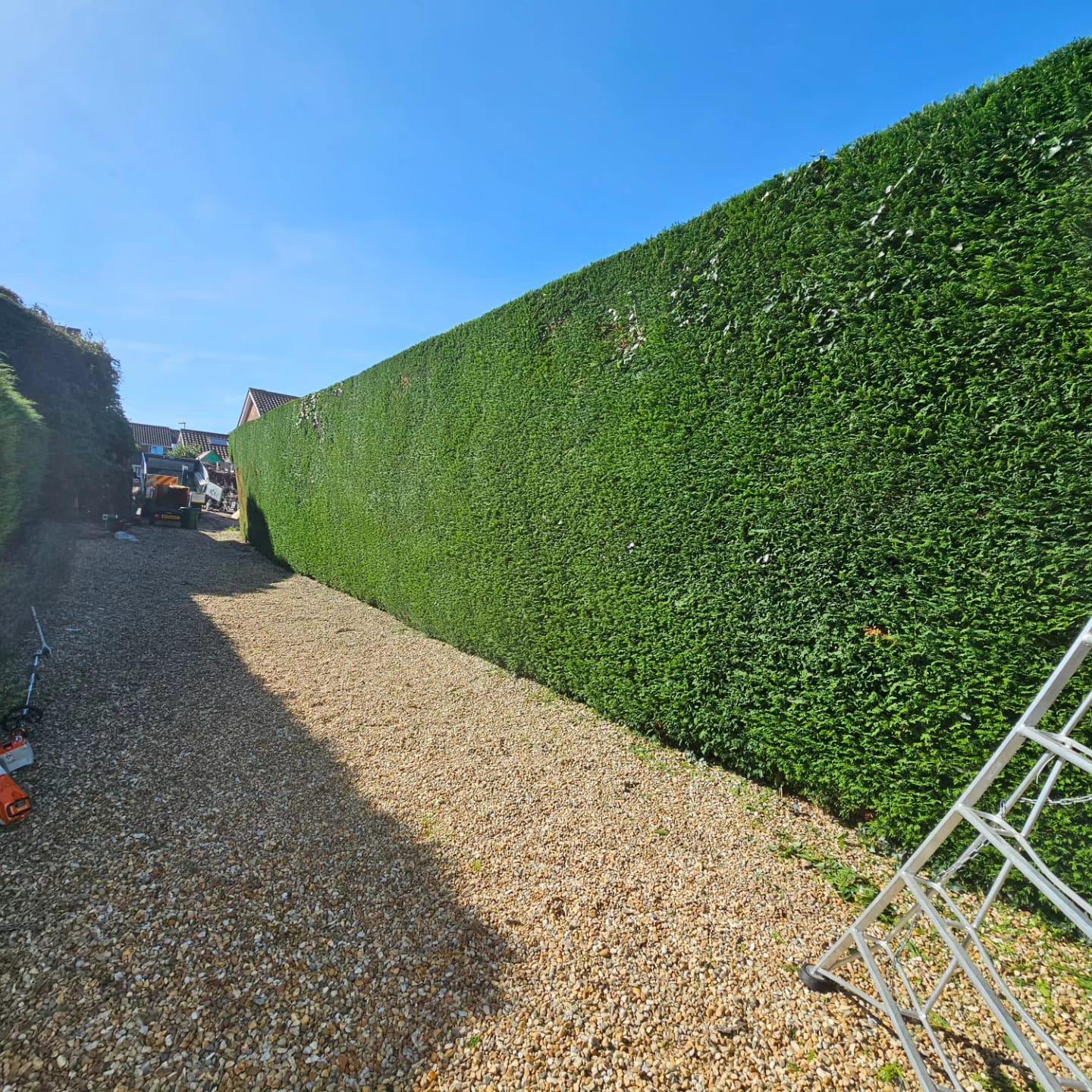 Hedge Trimming - Local Tree Services